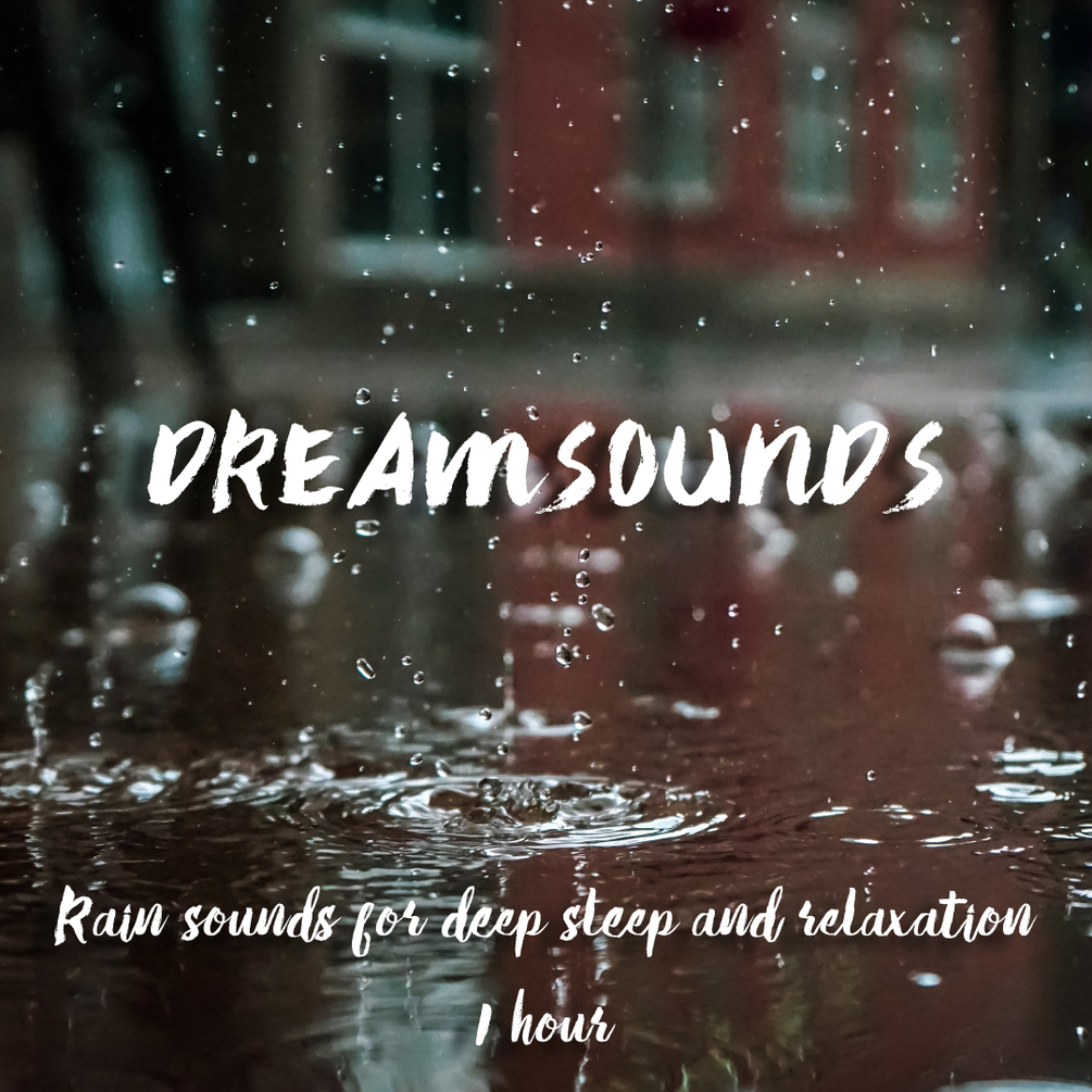 Rain Sounds For Deep Sleep And Relaxation 🌧️ 1 Hour