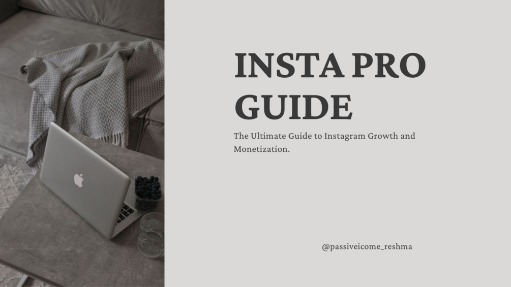 IG Pro Guide