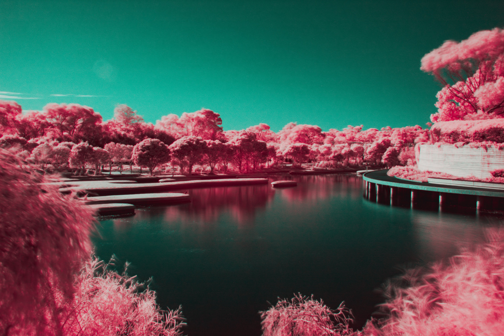 The Infrared World: The Botanical Gardens