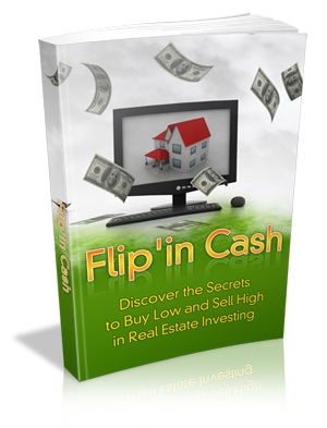 Flip'in Cash-Ebook
