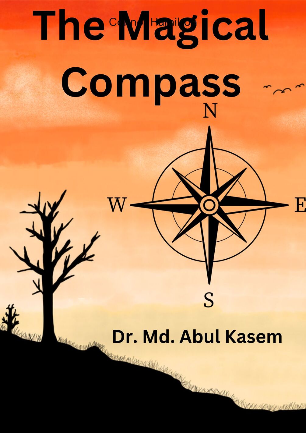 The Magical Compass