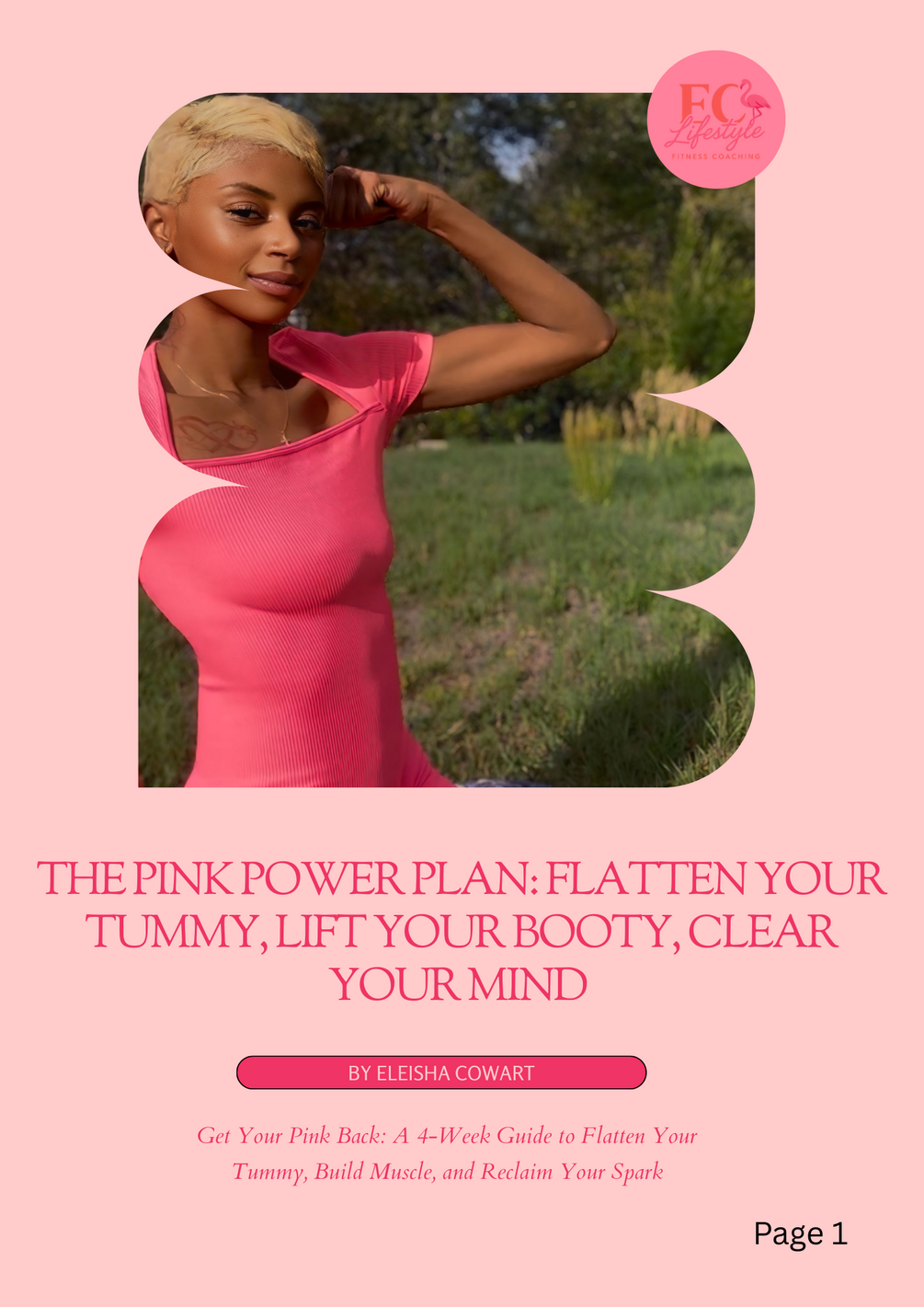 The Pink Power Plan