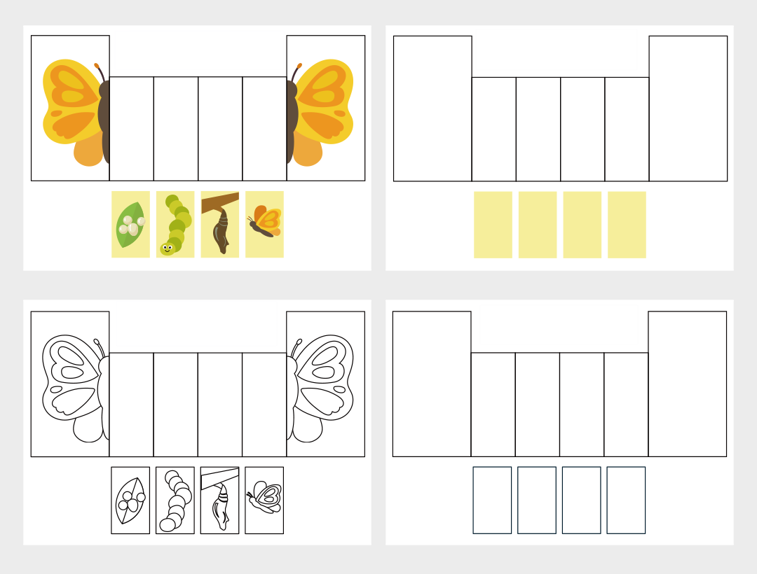 Butterfly Life Cycle Crafts Activities