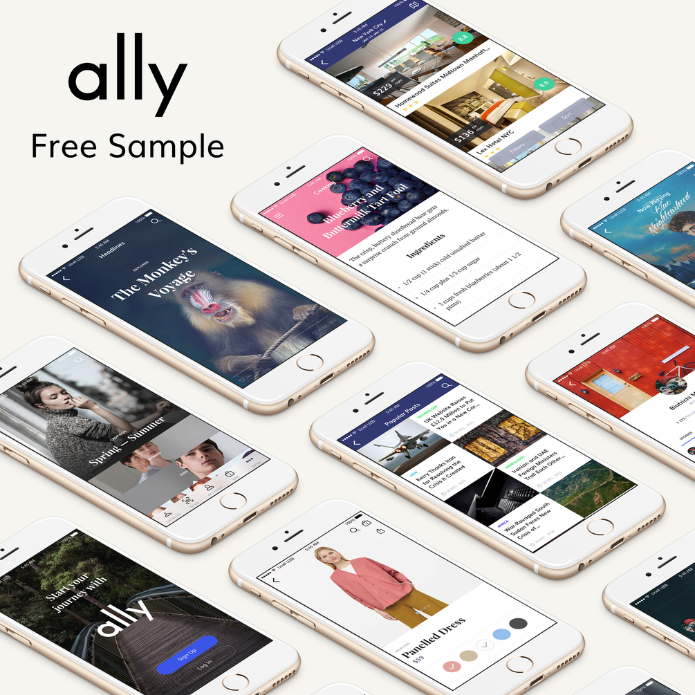 Free Sample of Ally UI Kit