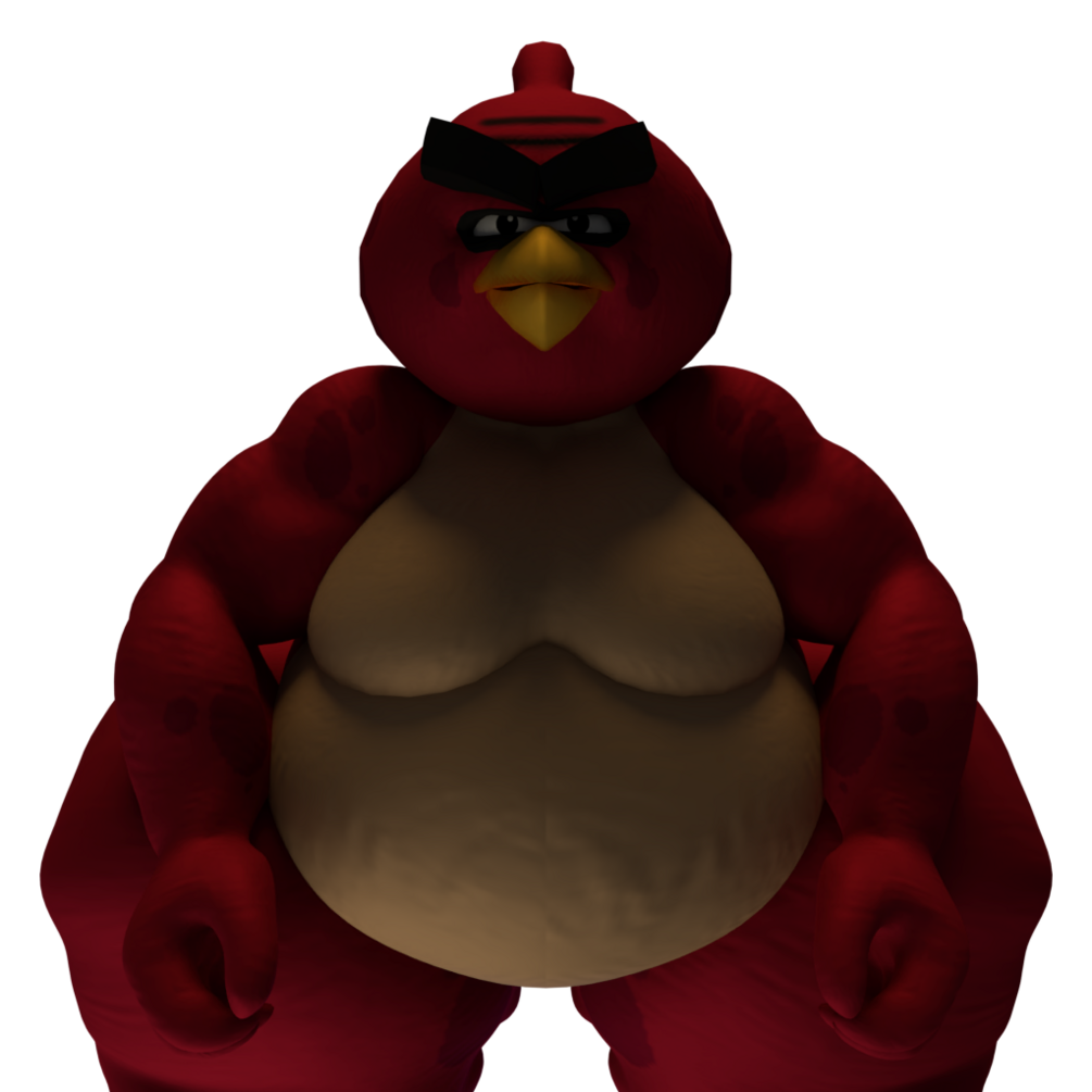 KM Fat Angry Birds