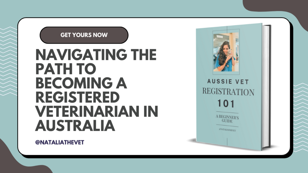 Aussie Vet registration 101: a Beginner's Guide