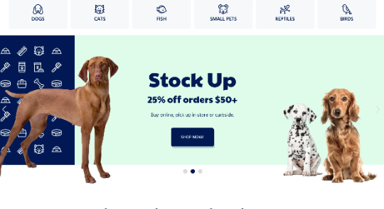 DropShipping E-Commerce (Full Custom) Unique and Affordable and ...