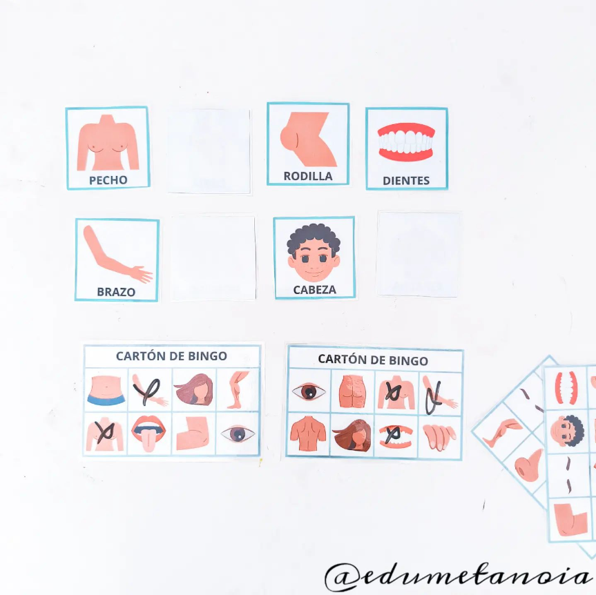 Bingo de las partes del cuerpo