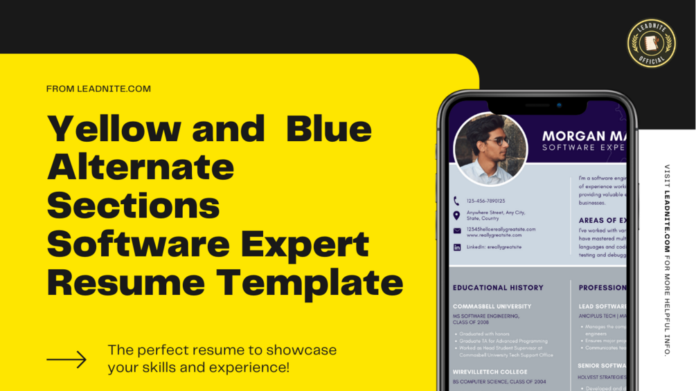 Yellow and Blue Alternate Sections Software Expert Resume Template