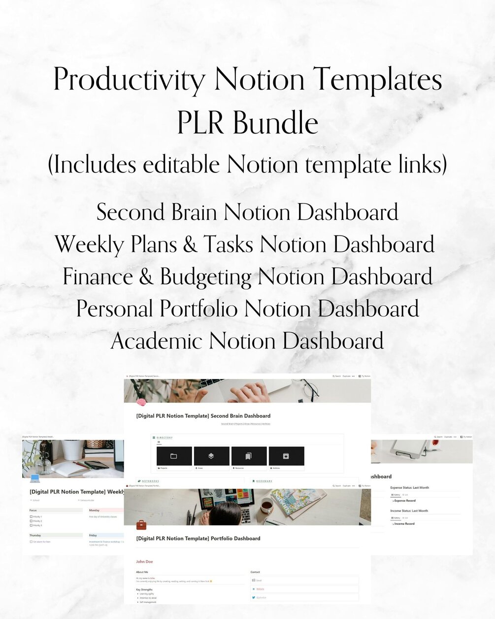 Productivity Notion Templates PLR Bundle