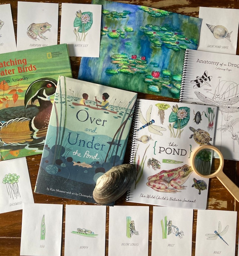 Tree Nature Study BUNDLE - Charlotte Mason