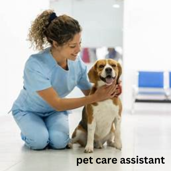 Pet Care Assistance