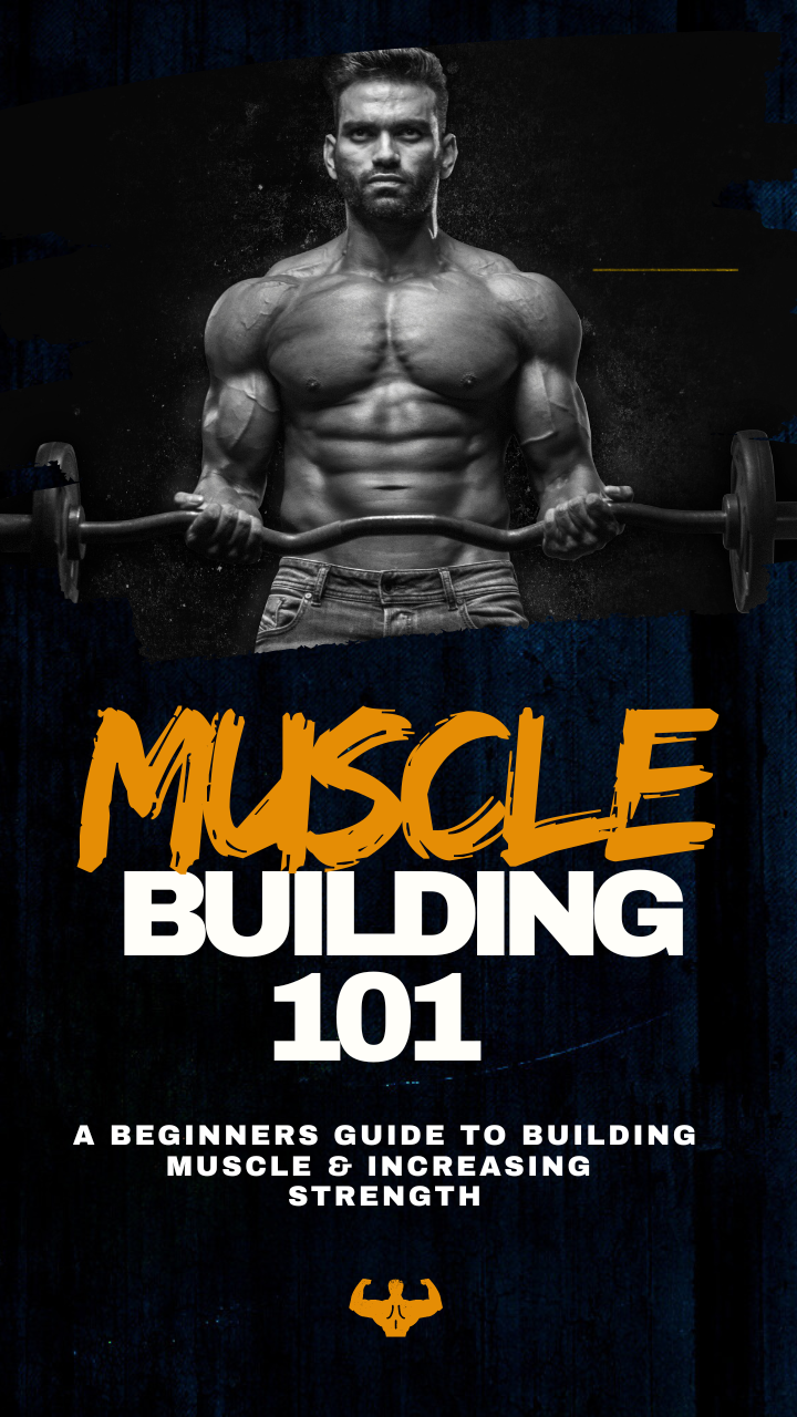 Muscle Building 101