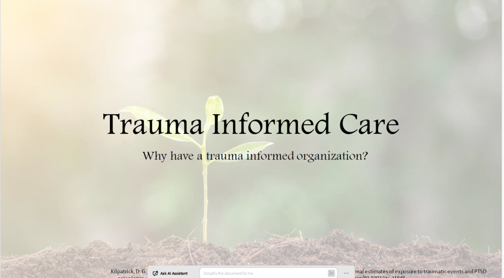 Trauma-Informed Care 101: Core Concepts & Practical Applications