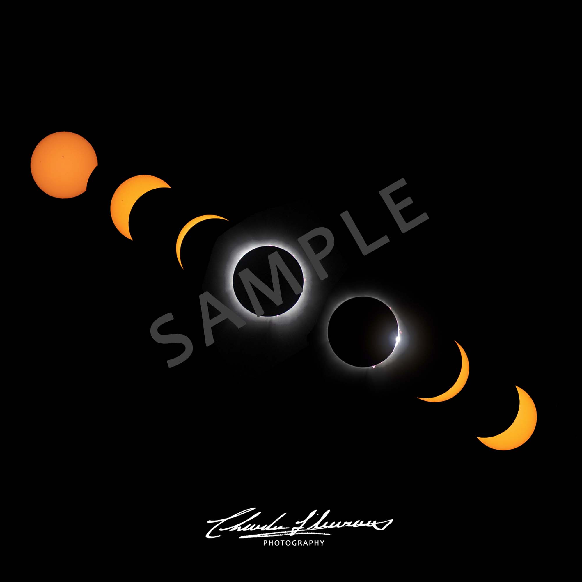 Total Eclipse 2024 - Composition (Prix à votre discrétion)