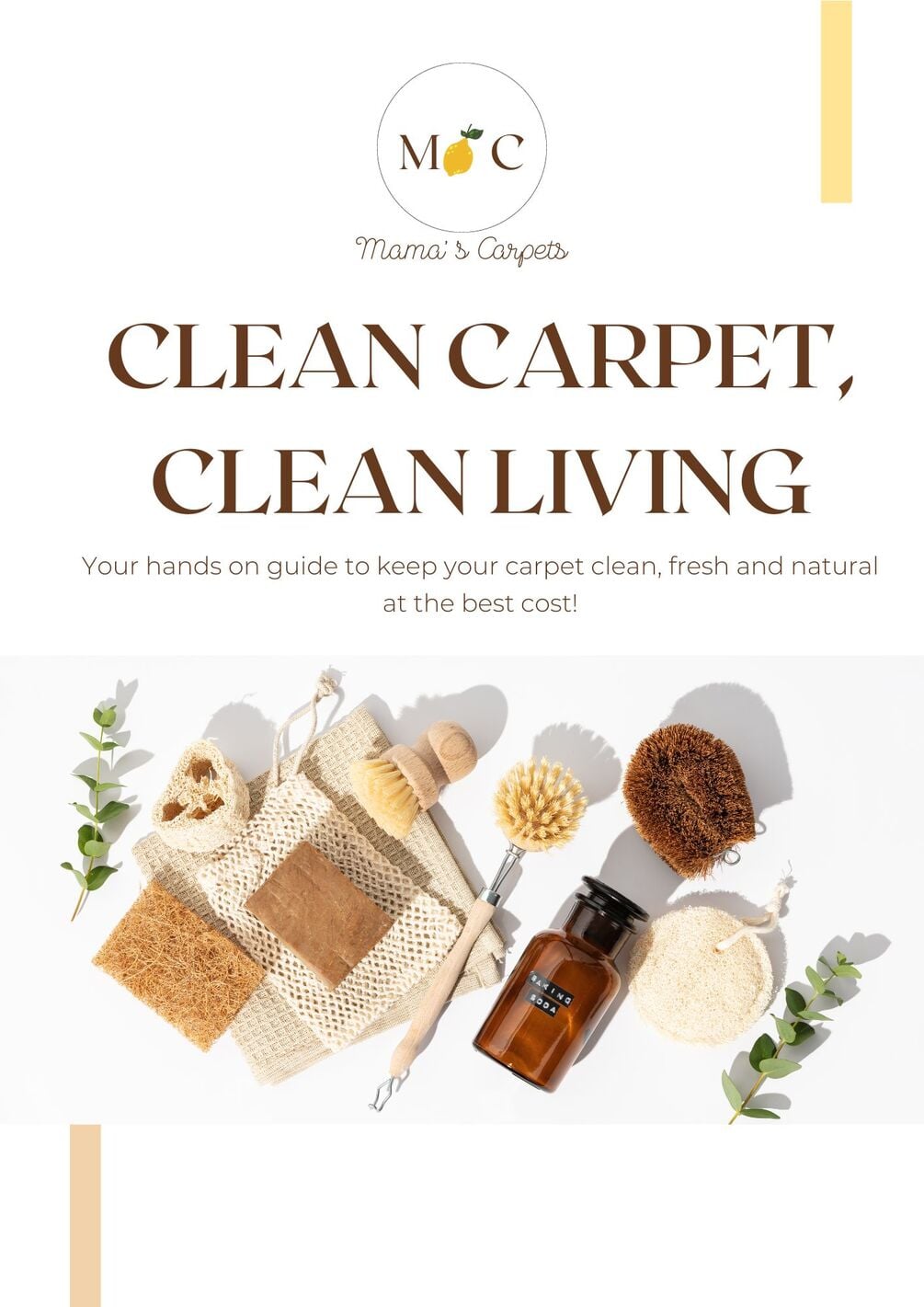 Clean Carpet Clean Living