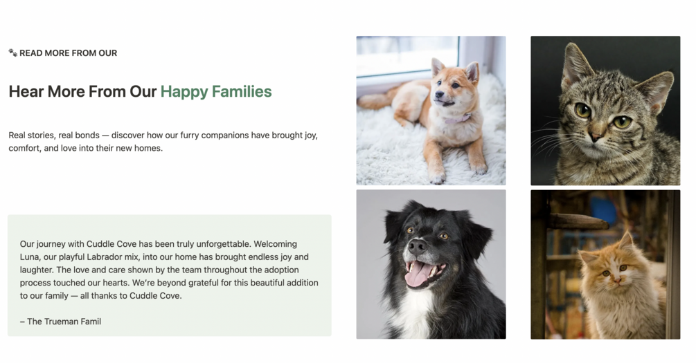 Cuddle Cove - Community & Nonprofit Website Template