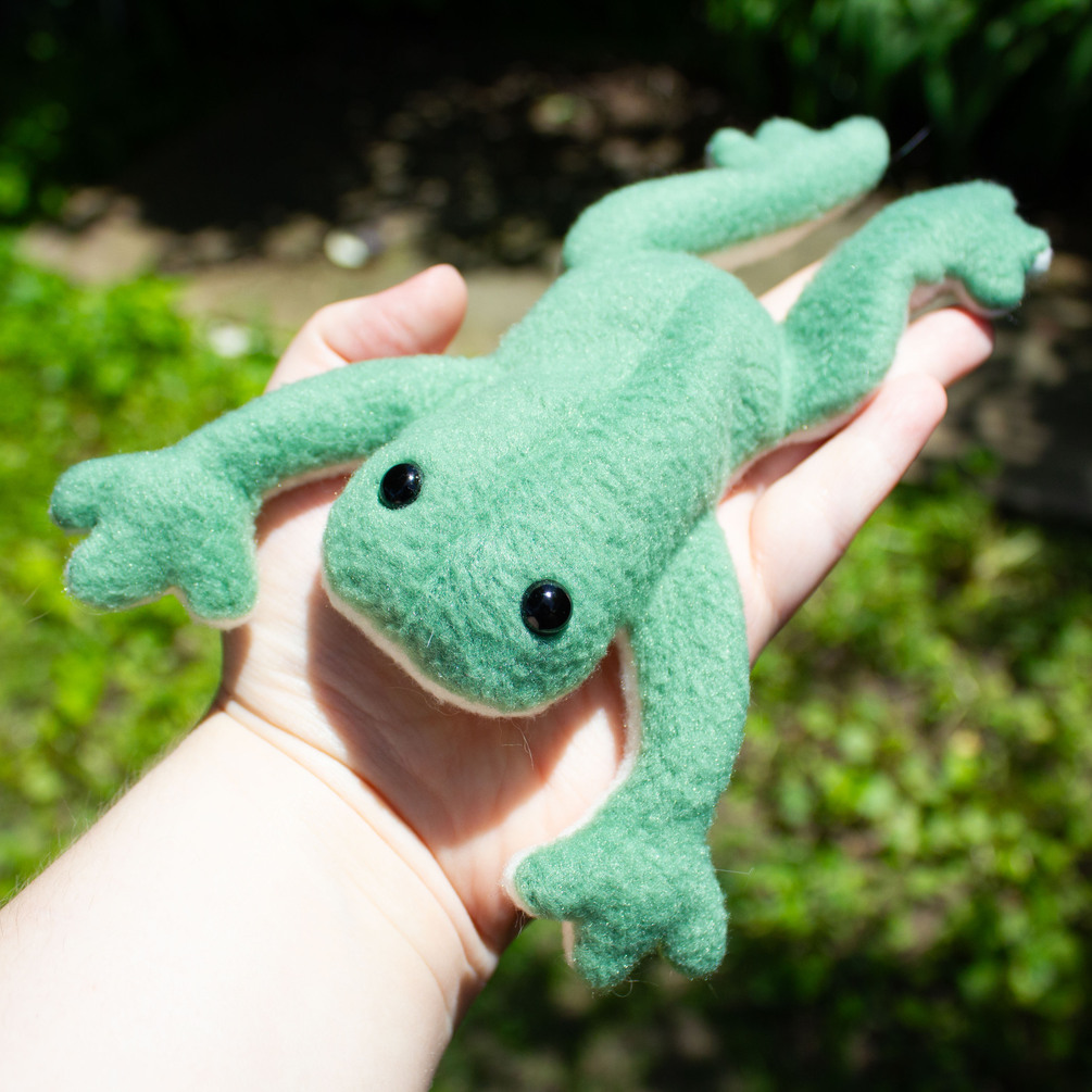 Bean Bag Frog