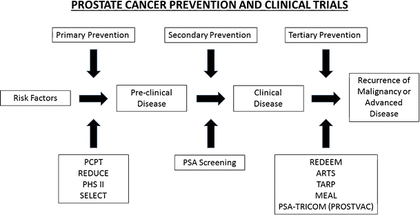 Reduce prostate cancer progression