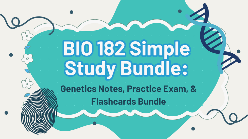 Bio 182 Genetics Master Pack Notes Practice Exam Flashcards Bundle