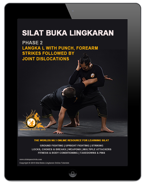 Phase 2 - Langka L with Punch, Forearm Strikes followed by Joint ...