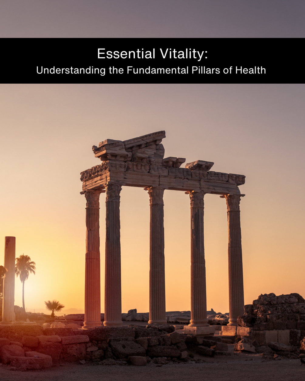 Essential Vitality: Understanding the Fundamental Pillars of Health