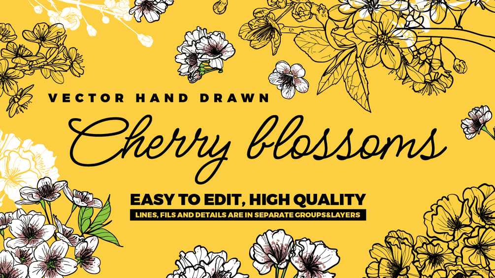 Hand drawn vector cherry blossoms