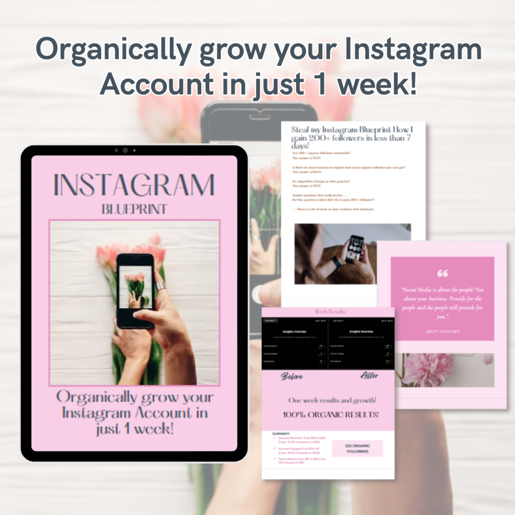 Instagram Organic Growth Blueprint