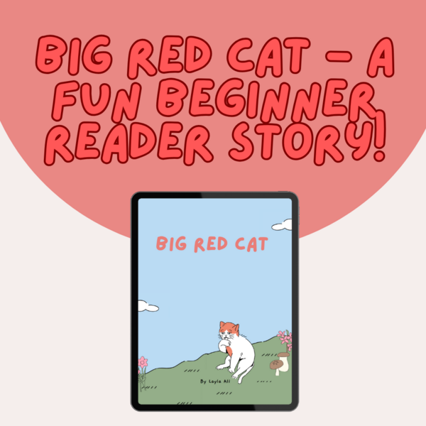 The ProjectRead Early Reader Collection – A Fun & Engaging Story Set!