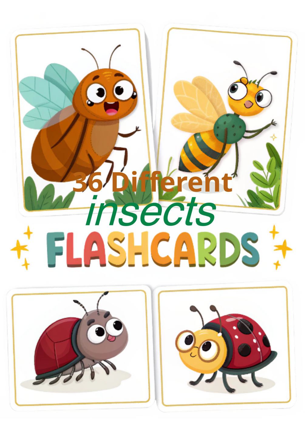 3D the 36 Different insect flash cards