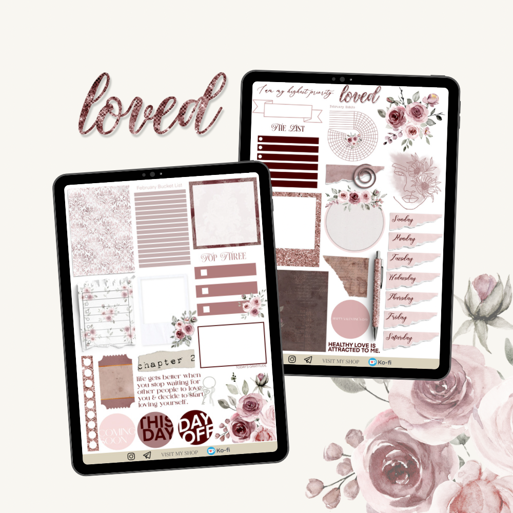 February Navy Blush stickers, GoodNotes & PNG