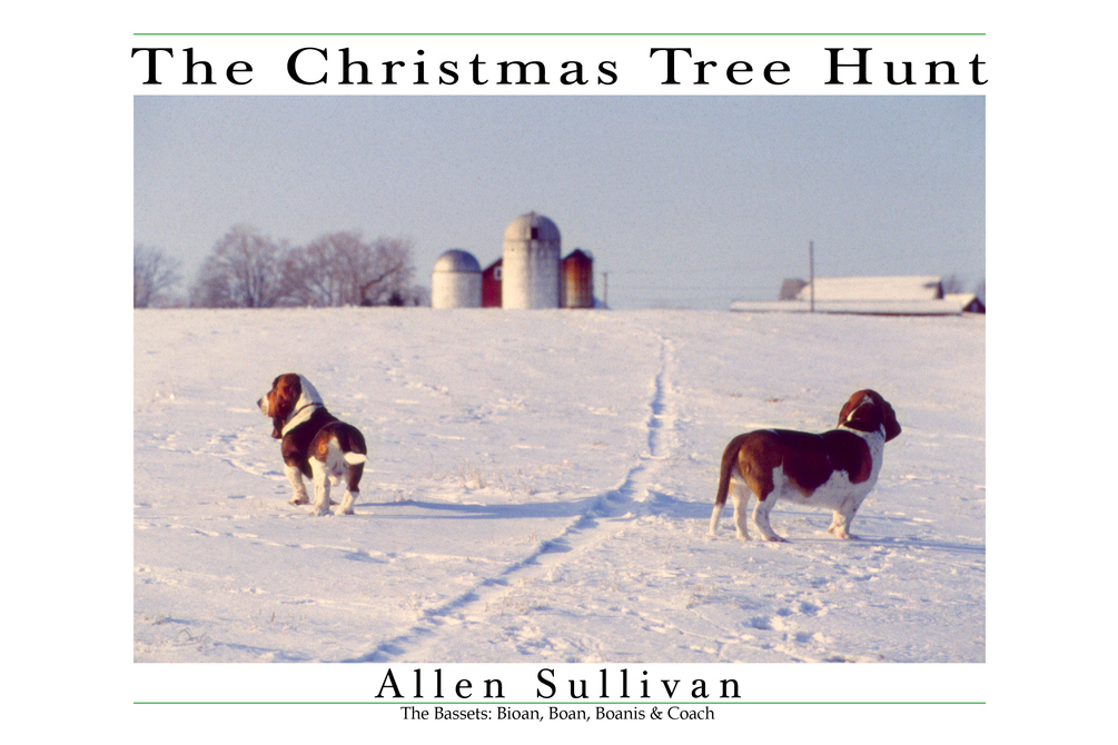 The Christmas Tree Hunt