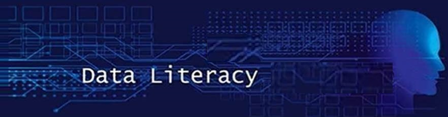 Data Literacy