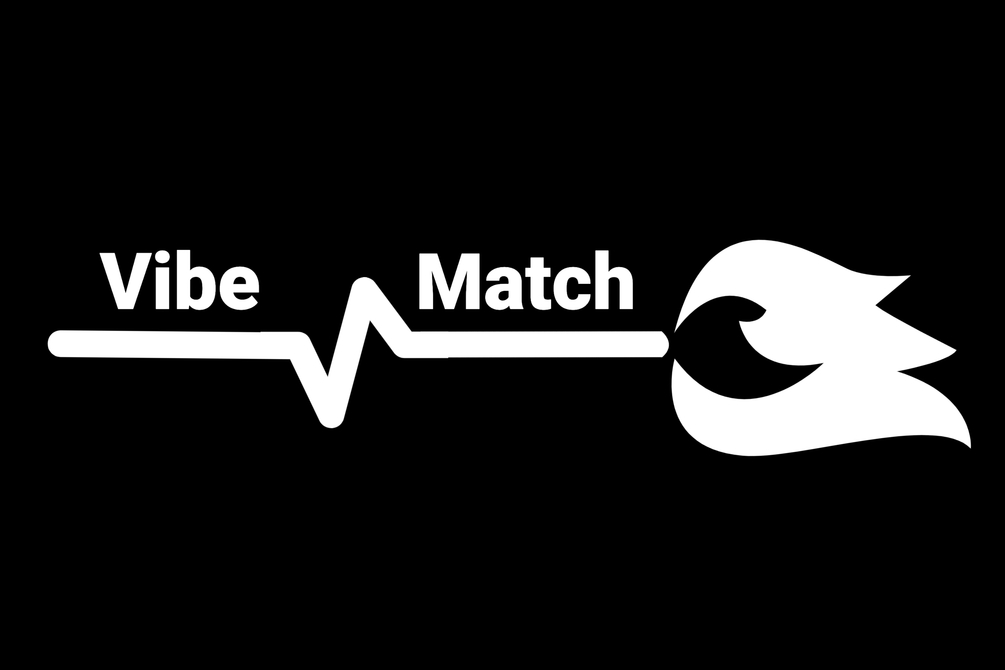 Vibe Match - How do you compare to top podcasts?