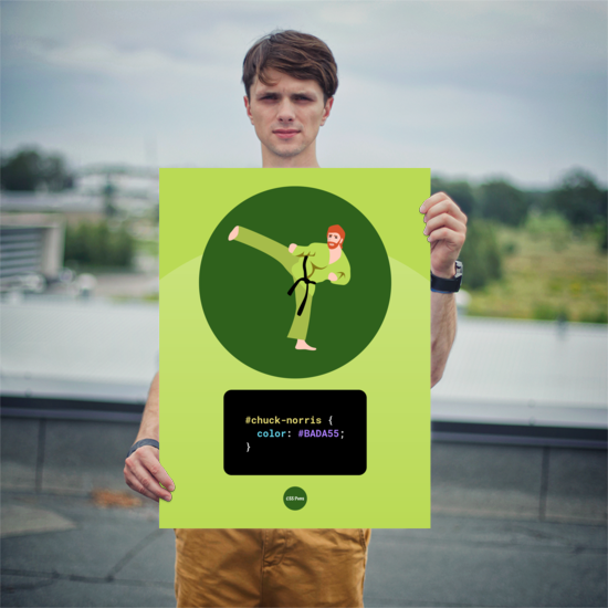 CSS Puns - Chuck Norris - Poster