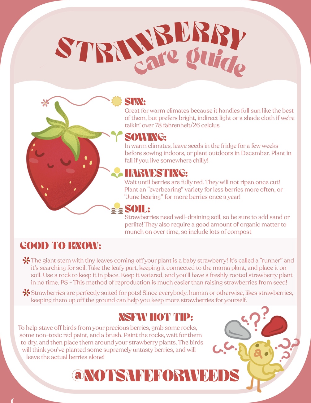 Strawberry Guide