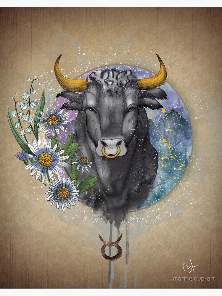 Taurus Extended Reading