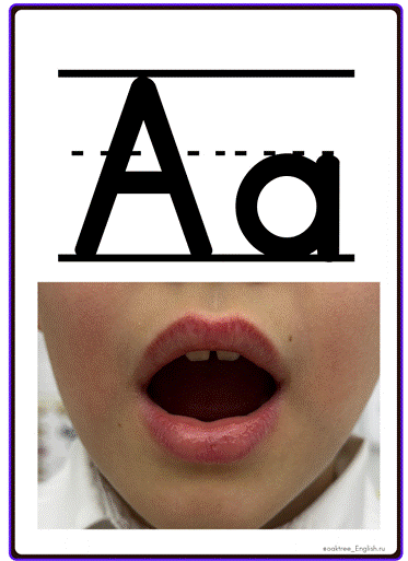 Alphablet Cards with Mouth Shape