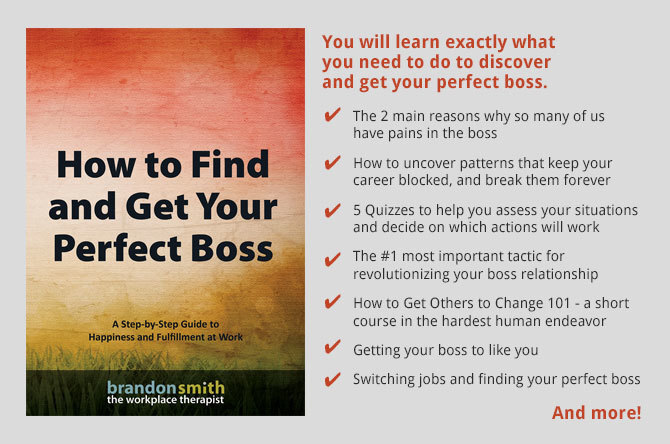 How to Find and Get Your Perfect Boss: A Step-by-Step Guide to ...
