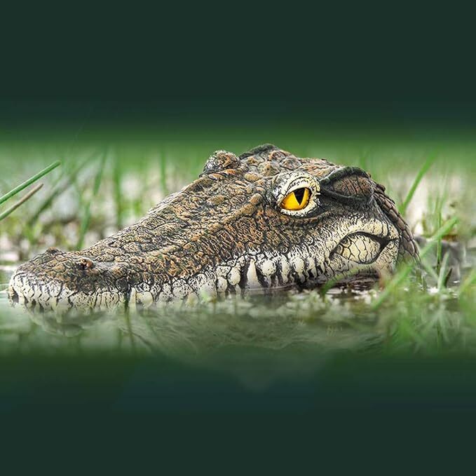 Pond Floating Alligator Head Decoy, Outdoor Pools Float Fake Gator Head ...
