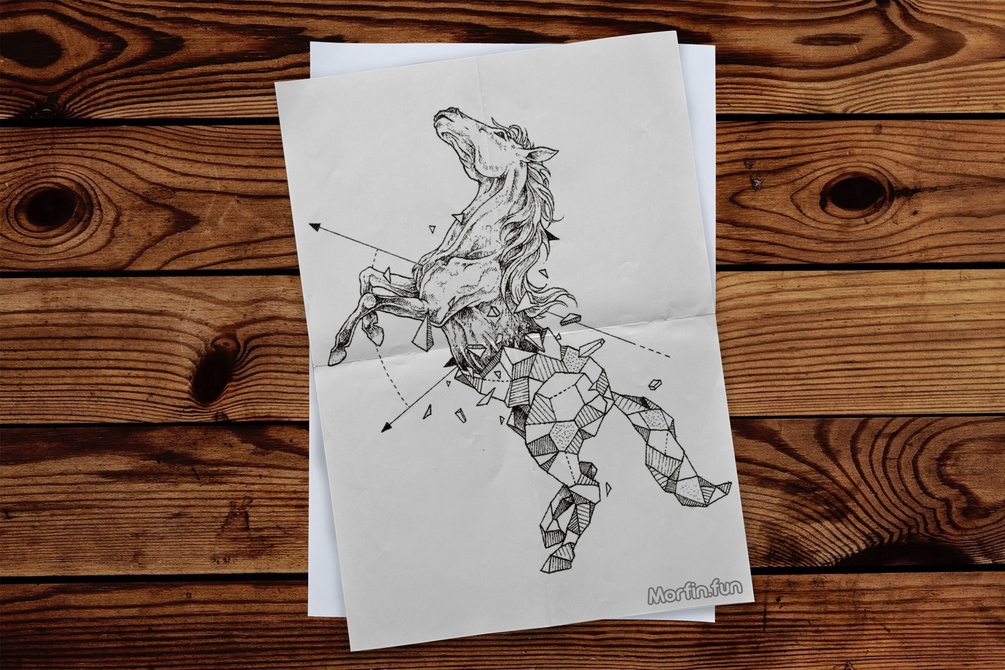 horse geometry