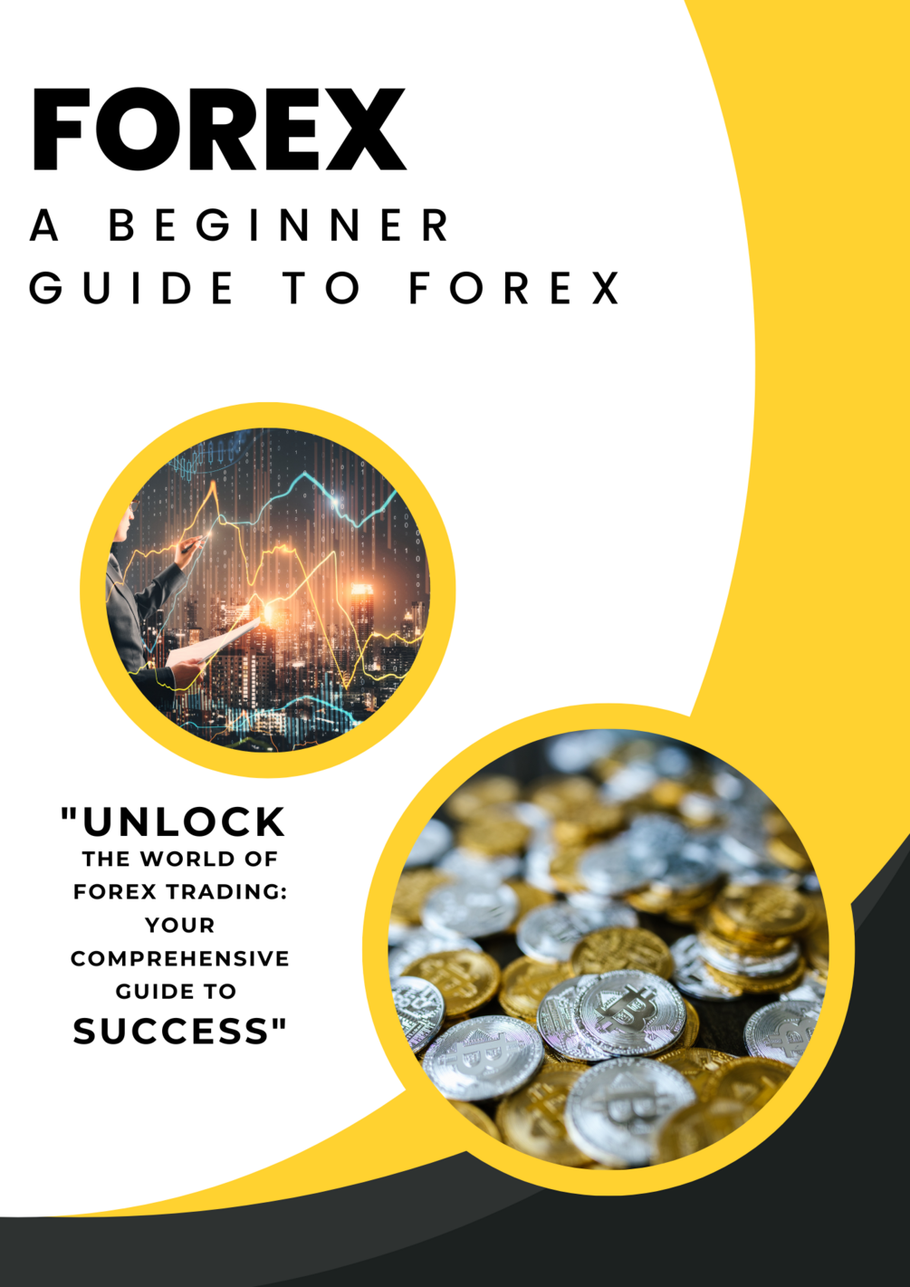 A beginner guide to Forex : Master Course