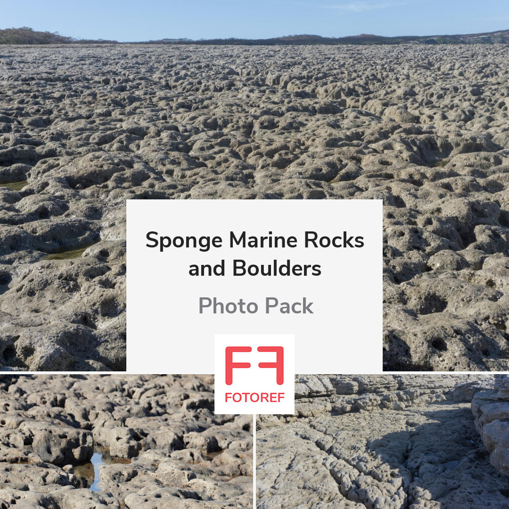70 photos of Sponge Marine Rocks and Boulders