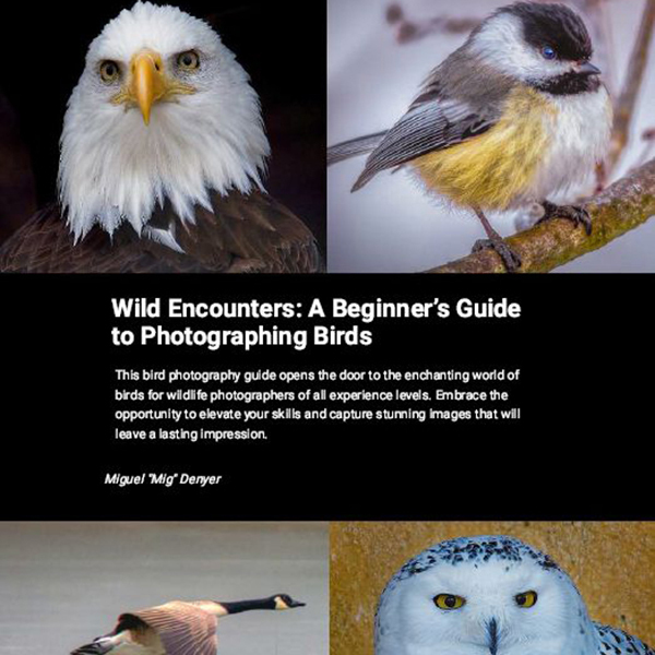 The Captured Wilderness Photography eBook Bundle – 3 Complete Guides