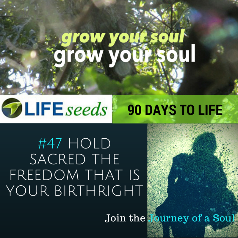 LIFE Seeds Packet #47