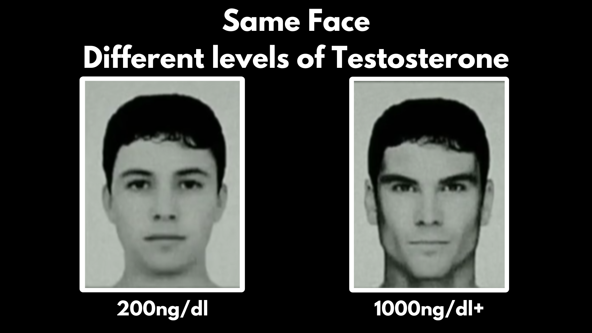 Spartan Shred 50 ways to boost Testosterone