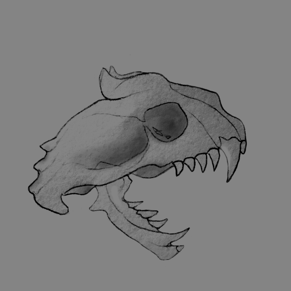 Skull_1
