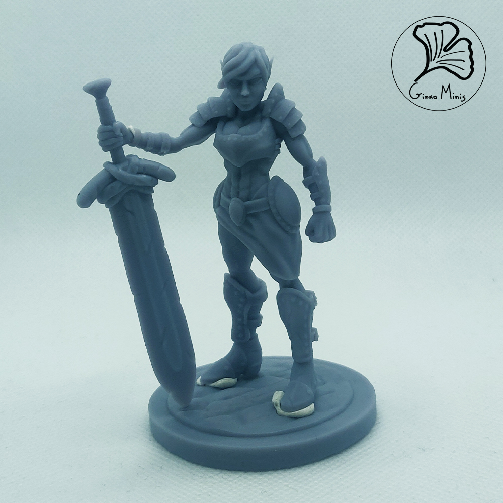 Elyn the half-elf warrior