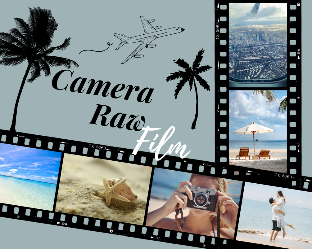 12- Camera Raw Film 60 Lightroom Presets | For Lightroom & Lightroom Classic | 50 mix free presets