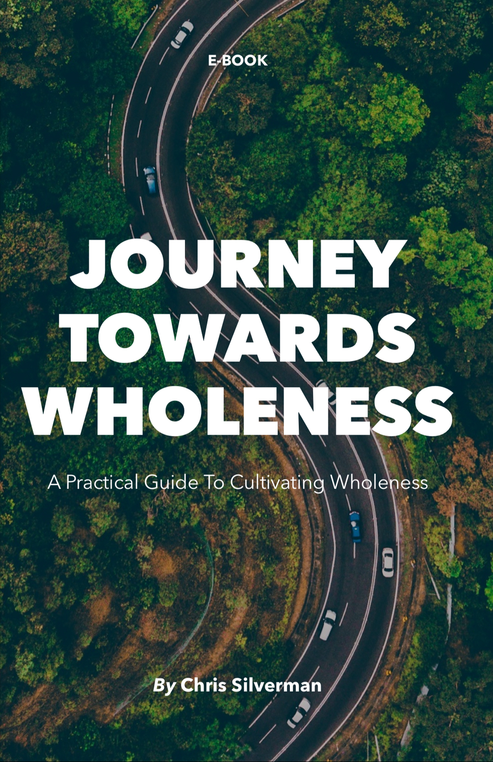 Journey Towards Wholeness